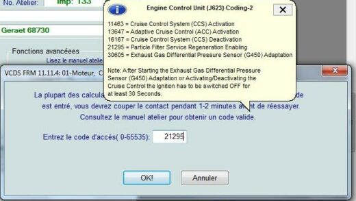 VCDS: FAP regeneration - VAG Coding