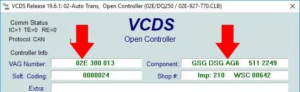 VCDS: Reset DSG - VAG Coding